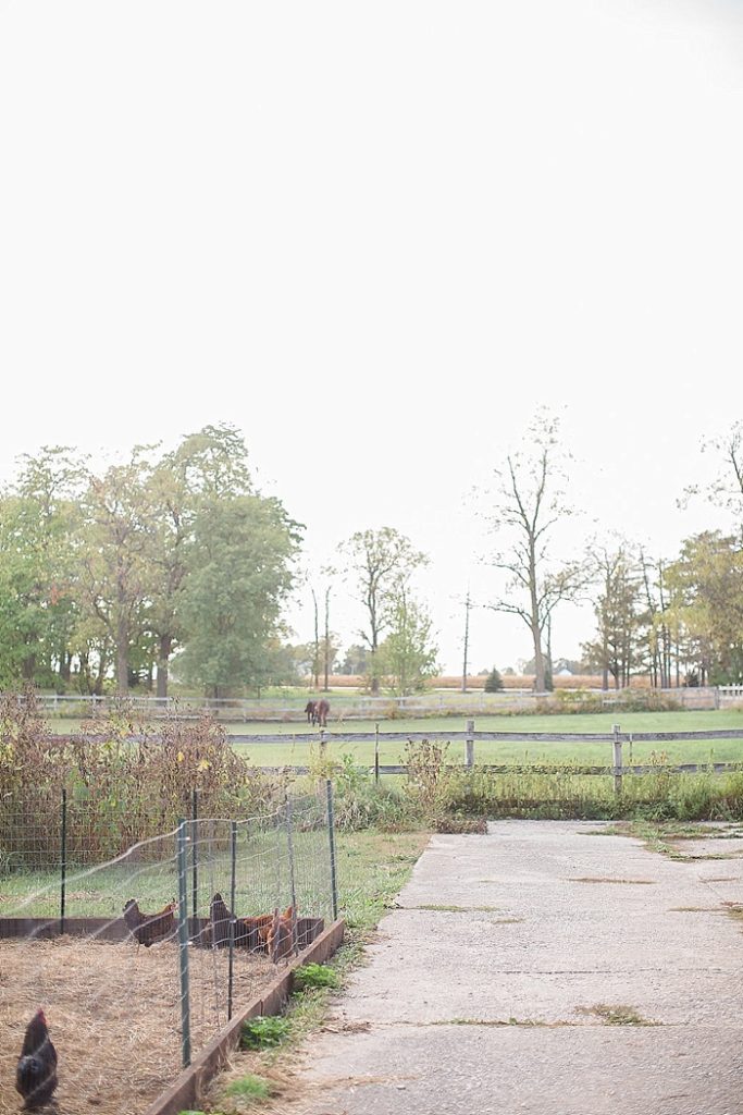 Boho Rustic Stylized Bridal Shoot at Mullins Farm – Elburn | Showit Blog