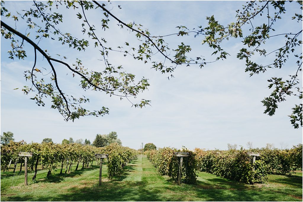 Erin and Andrew’s Vineyard Wedding at Acquaviva Winery | Showit Blog